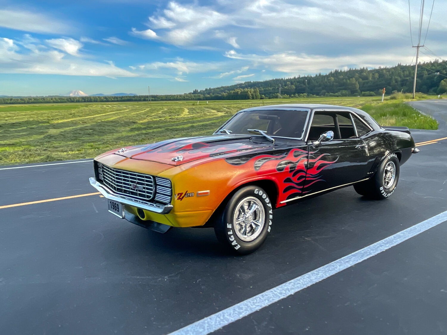 Postcards, Box Set of 24 by Fine Scale Models