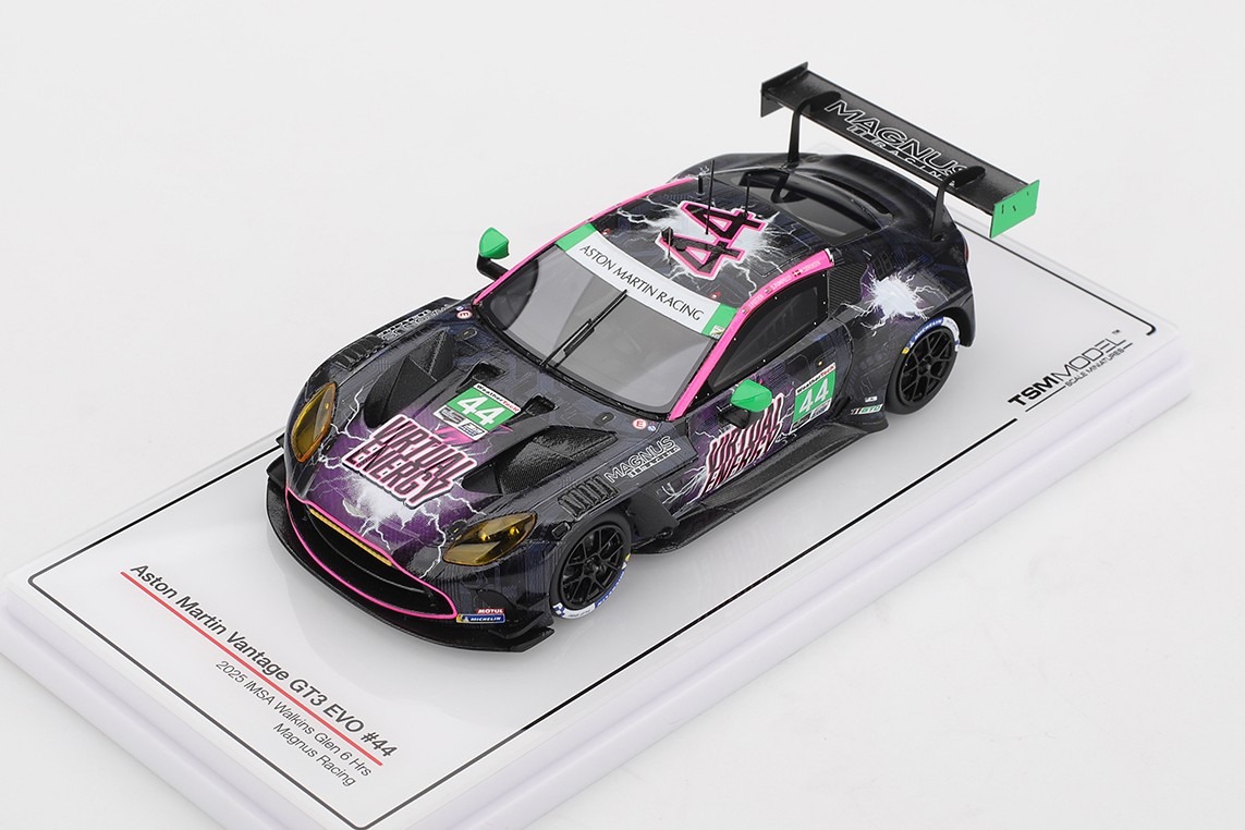 Aston Martin Vantage GT3 Evo #44 Magnus Racing 2025 IMSA Walkins Glen 6 ...